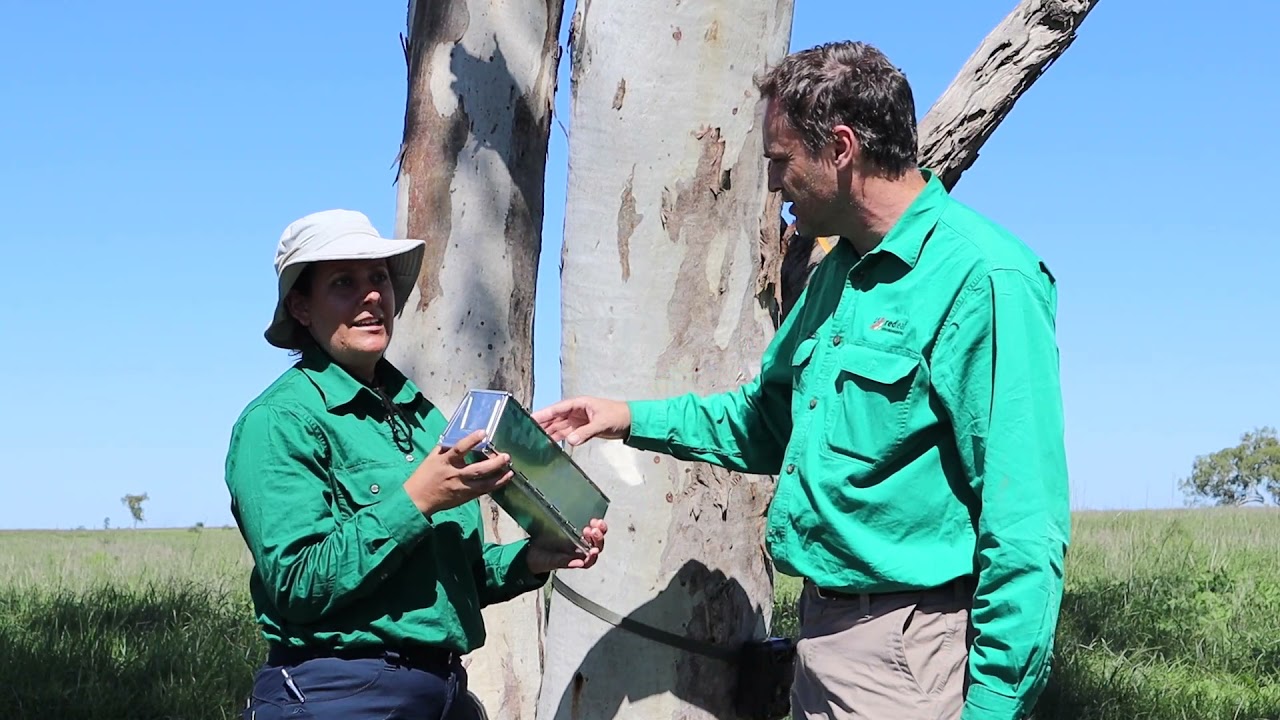 Using Elliott Traps in Biodiversity Surveys - YouTube