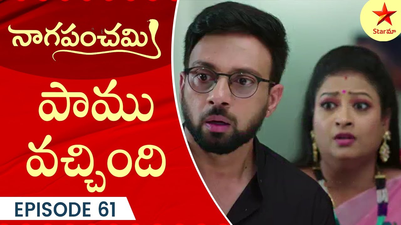 Naga Panchami - Episode 61 Highlight 3 | Telugu Serial | StarMaa ...