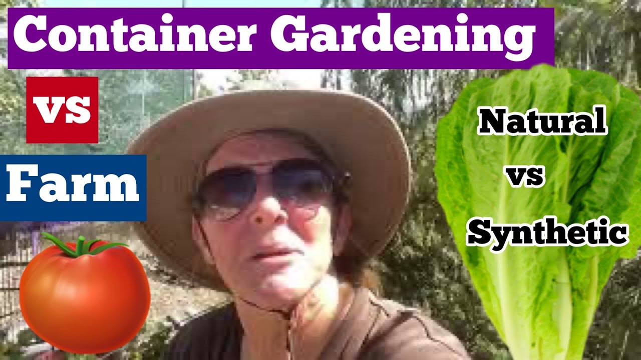 Container Gardening vs Farm, We Can do it Better & Organic Growing ...
