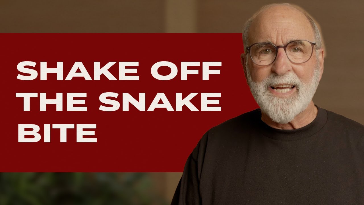Shake off the Snake Bite | Prophetic Insights - YouTube