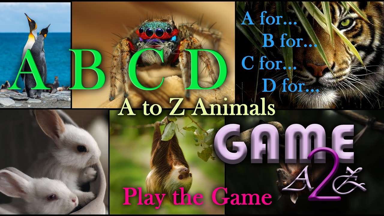 A to Z Animals List | A2Z animals name | A to Z | A2Z alphabet | ABCD ...