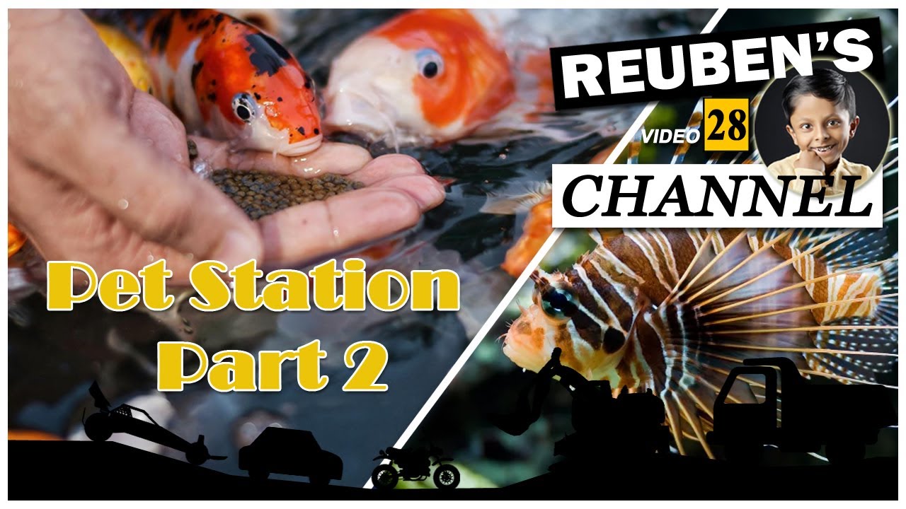 Don't miss this awesome experience at Pet Station Kannur – Part 2 - YouTube