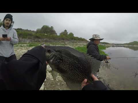 Lake San Antonio Crappie Fishing