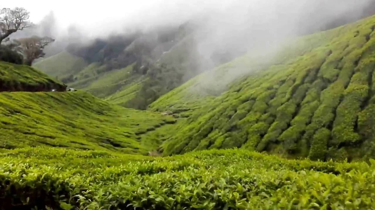 Meesapulimala (HD) - YouTube