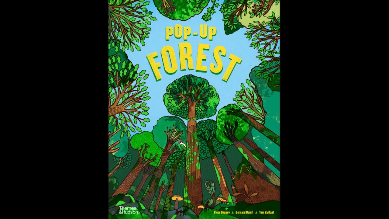 Pop-Up Forest - YouTube