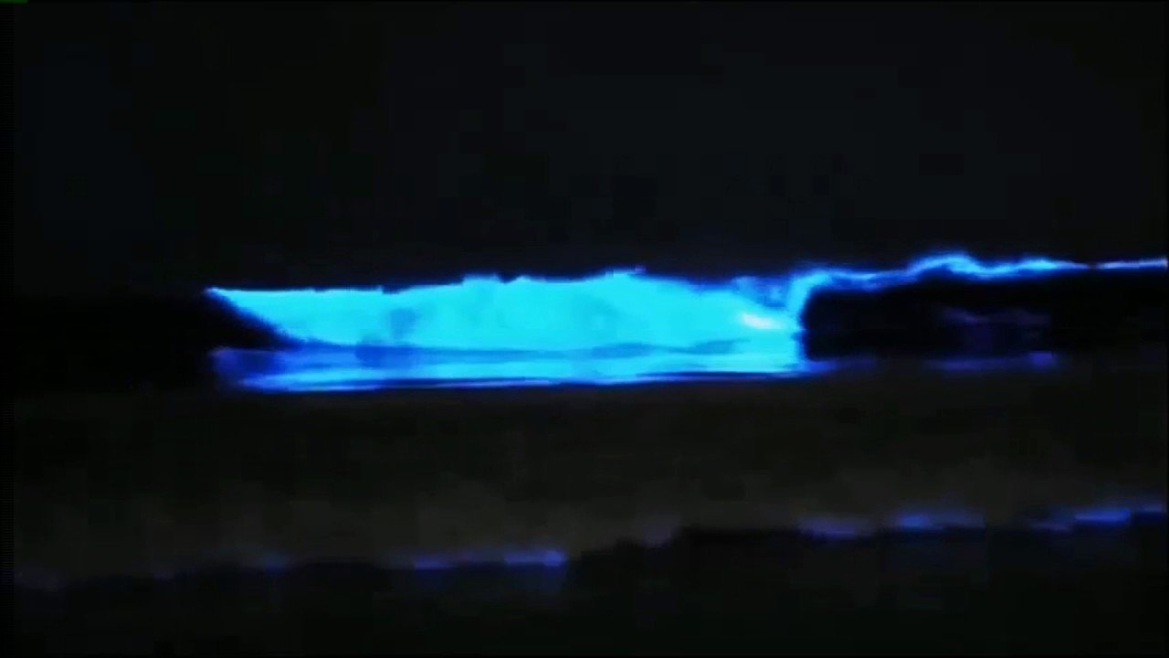 Nature PHENOMENON - Blue Tears - YouTube