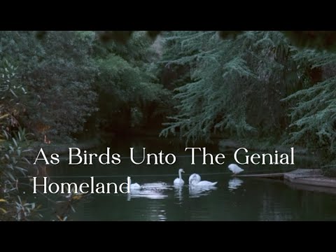 395 SDA Hymn - As Birds Unto The Genial Homeland (Singing w/ Lyrics ...