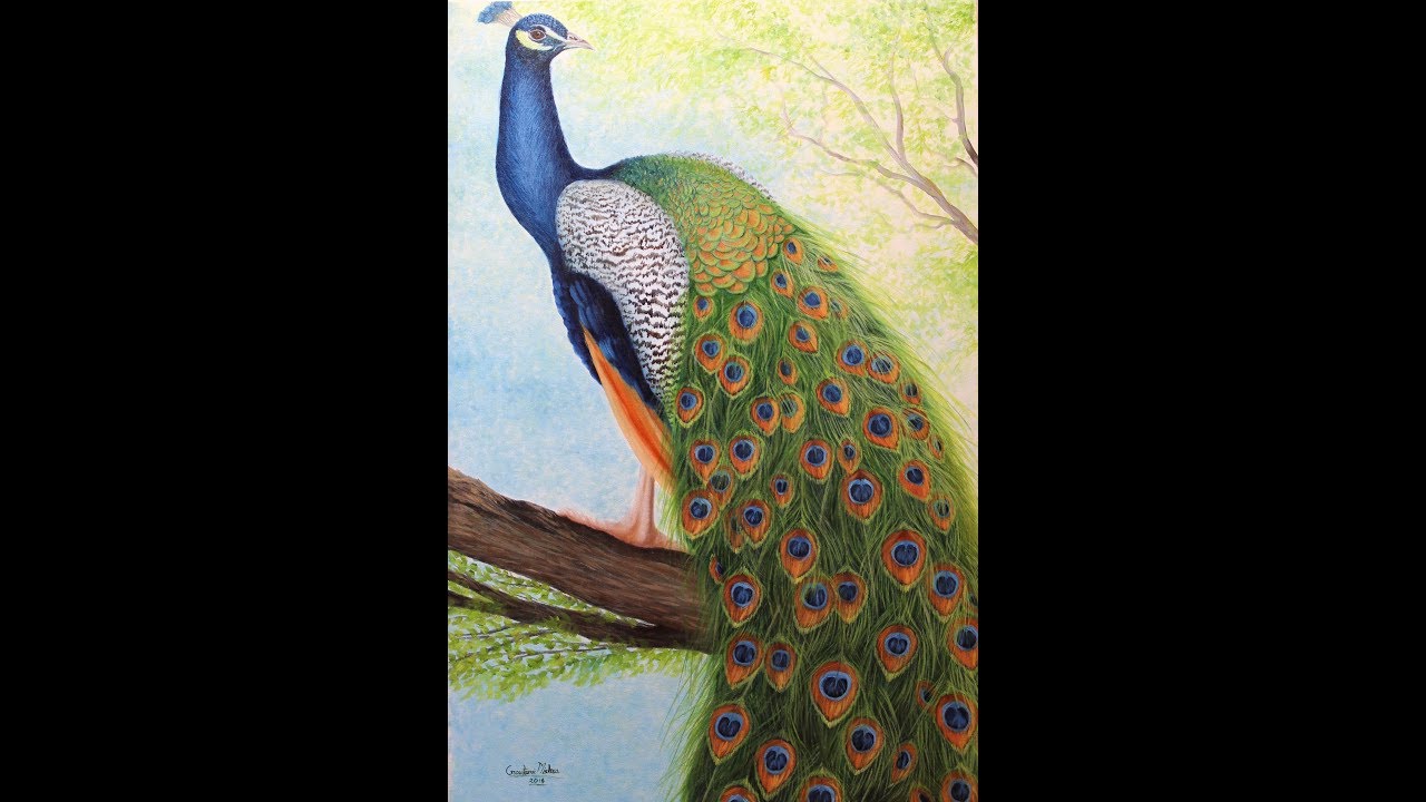 Peacock on Tree Oil Painting tutorial by Goutami Mishra - YouTube