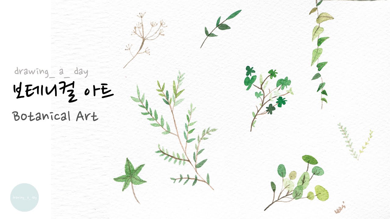 How to draw botanical _ 보테니컬아트 그리기01 Watercolor Illustration - YouTube