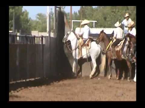 Coleaderos en Rancho Ochoa 13 - YouTube