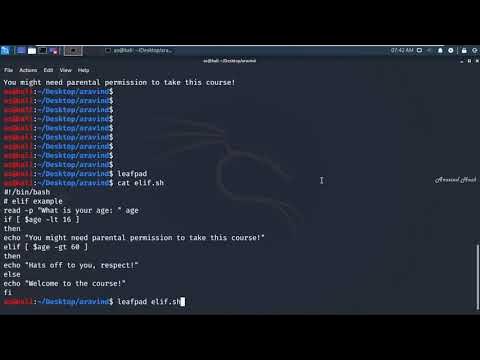 Bash Scripting the elif statement lab on kali linux - YouTube