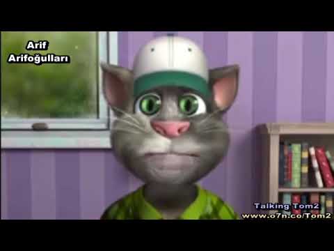 Tom kedi Erzurum sivesi