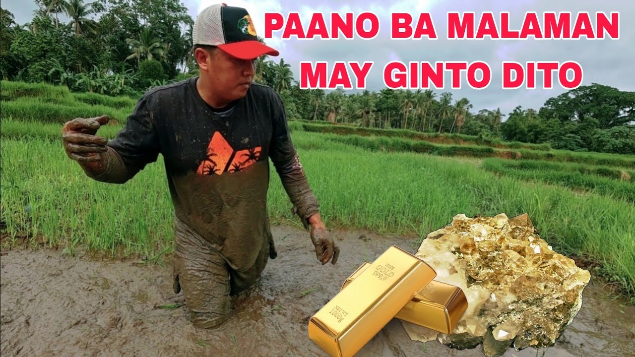Paano ba Malalaman Kong may Ginto sa Palayan kulay gold mga putik dito ...
