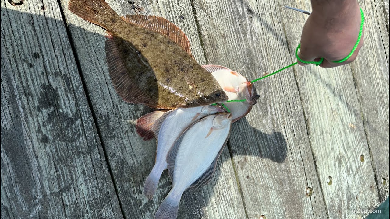 Fishing Adventure: Digging for Sea Worms & Flounder 🐟 Fishing at the ...