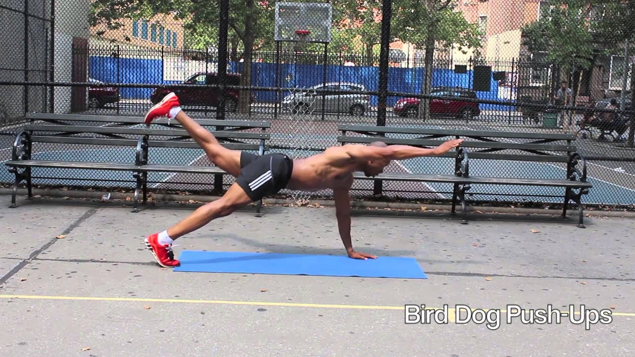 Bird Dog Push-Ups - YouTube