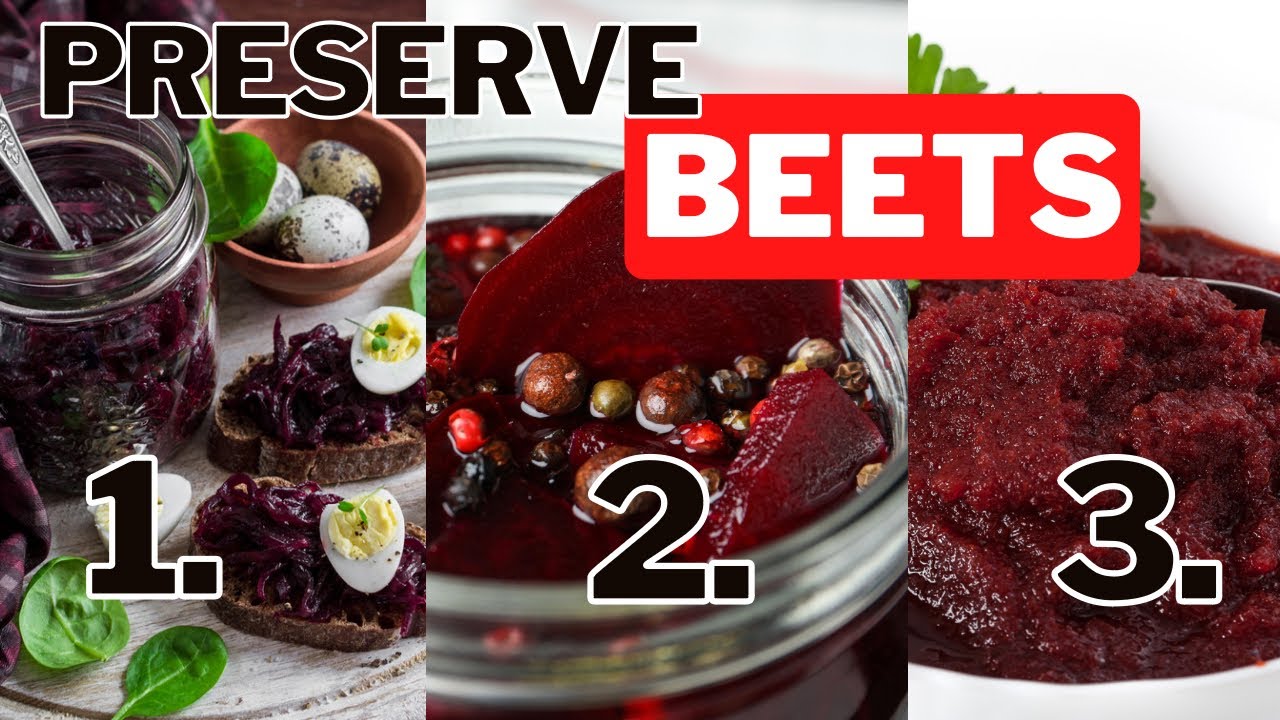 How To Preserve Your Beet Harvest! Five Ways! - YouTube