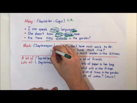 Quantifiers (a few, a little, many, much, a lot of, some)