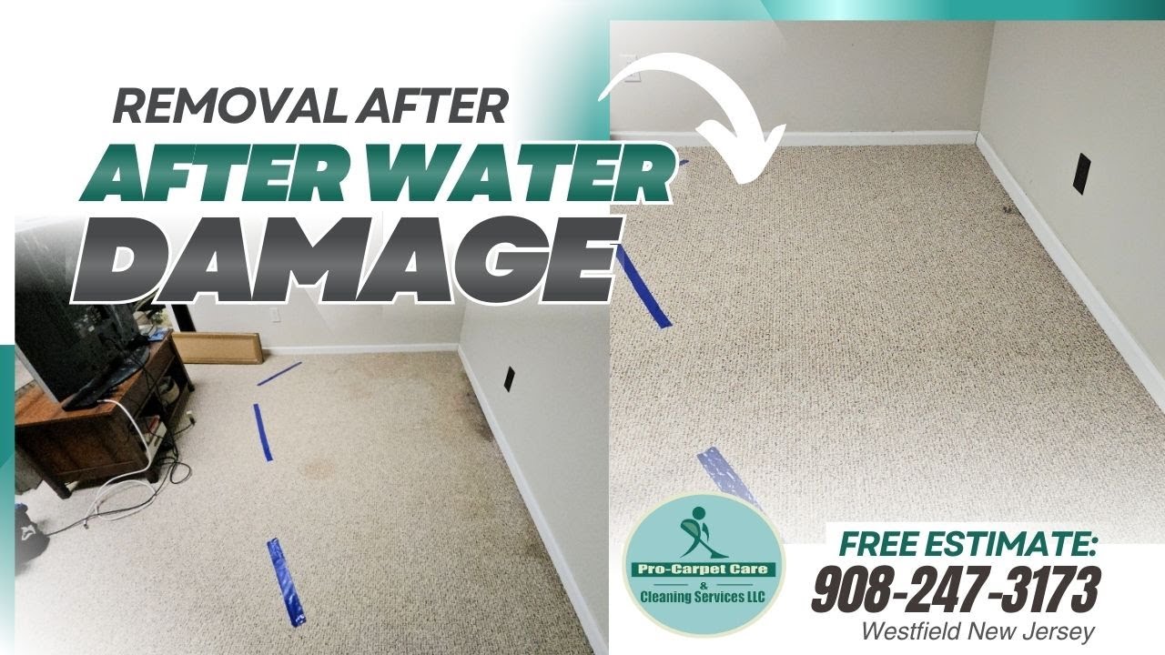 Water Damage on Carpet | Stain Removal After Water Damage - Westfield ...