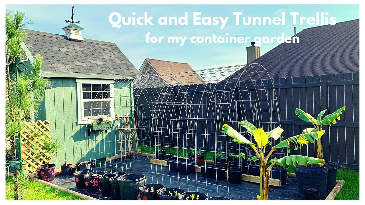 Quick and Easy Way To Build A Garden Tunnel Trellis | Spring Garden ...