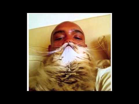 Epic catbeard compilation! Here are the top cat beards on the internet ...