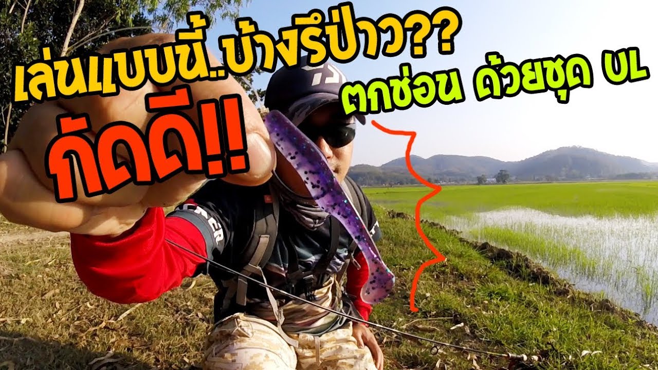 ตกช่อนด้วยชุด UL เดินหนอนผิวน้ำ..กัดดีมาก!! #no sinker rig - YouTube