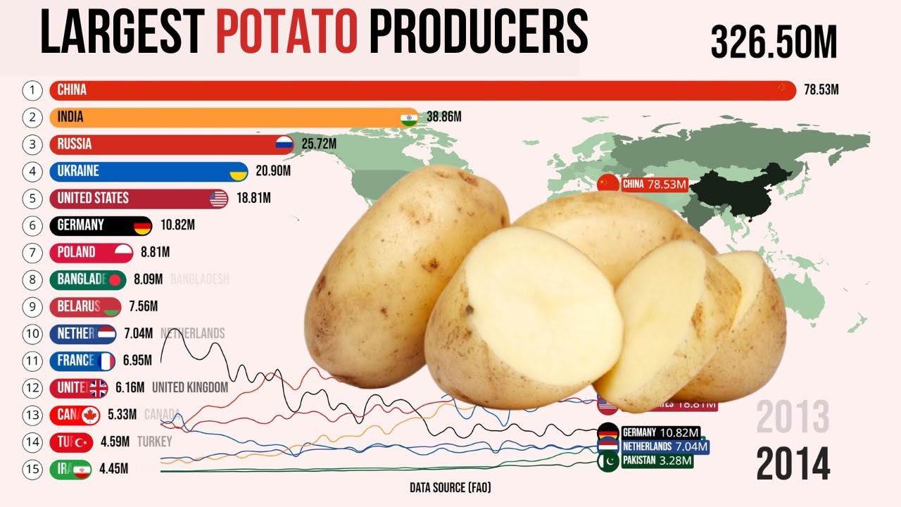 🎬 The Largest Potato Producers in the World. - YouTube