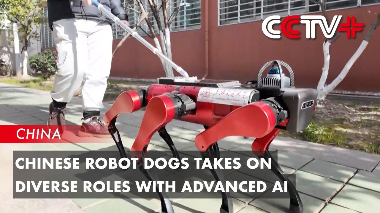 Chinese Robot Dogs Takes on Diverse Roles with Advanced AI - YouTube