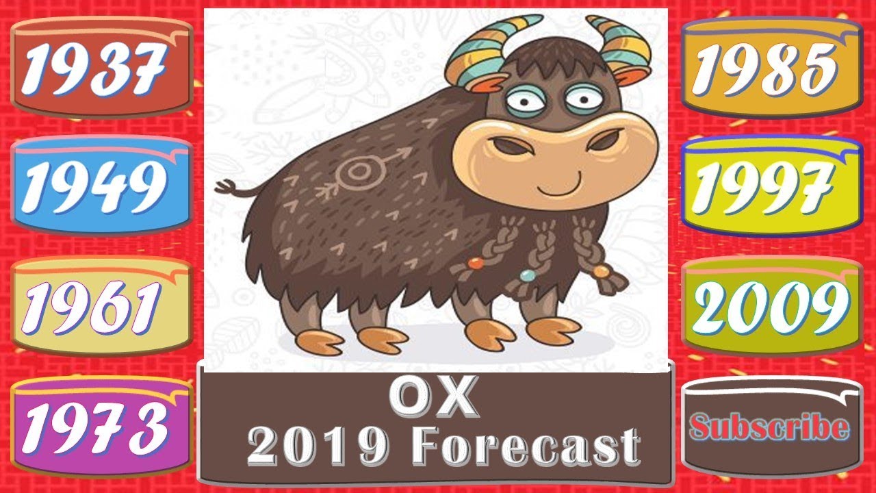 Ox Horoscope 2019 | Born 1937, 1949, 1961, 1973, 1985, 1997, 2009 - YouTube