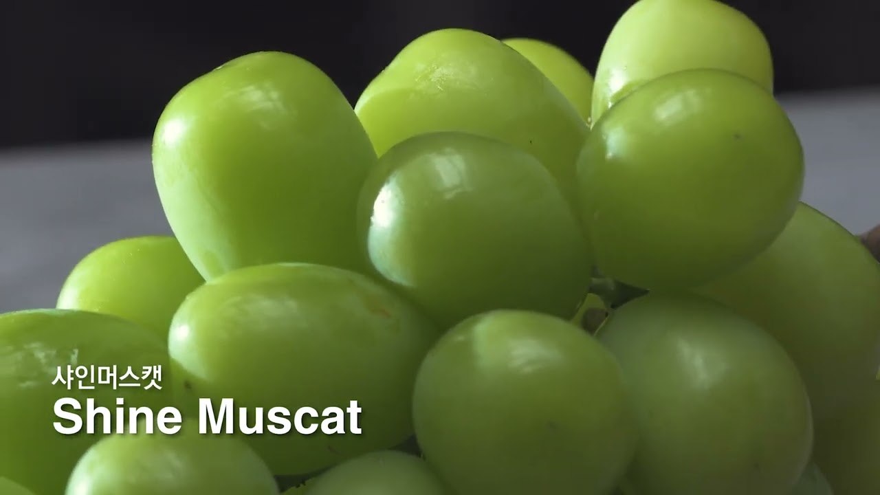Korean Shine Muscat - YouTube