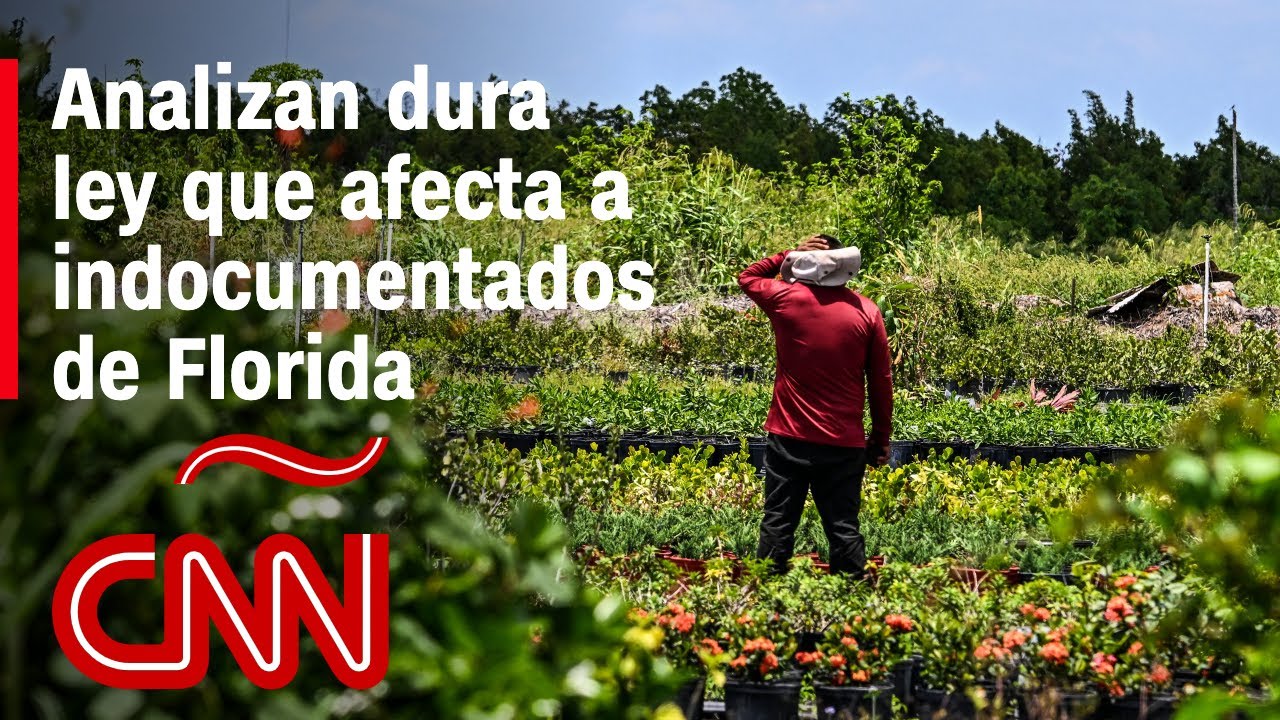 ¿Por qué preocupa la nueva ley de mano dura a indocumentados en la ...