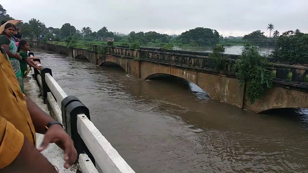Thamirabarani river flood #thamirabarani - YouTube