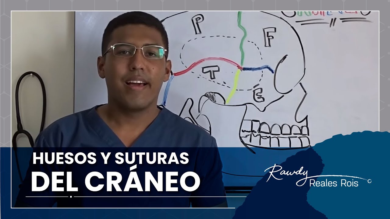HUESOS Y SUTURAS DEL CRÁNEO | DR RAWDY - YouTube
