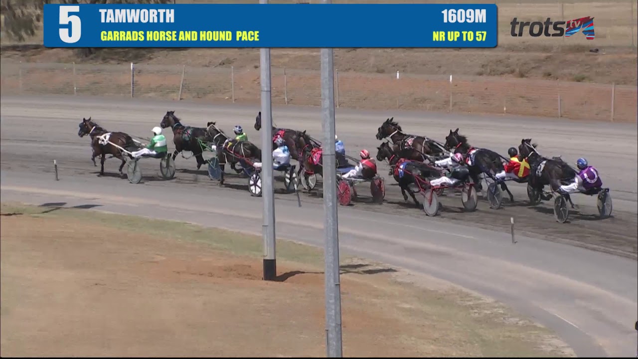 TAMWORTH - 12/12/2019 - Race 5 - GARRARDS HORSE AND HOUND PACE - YouTube