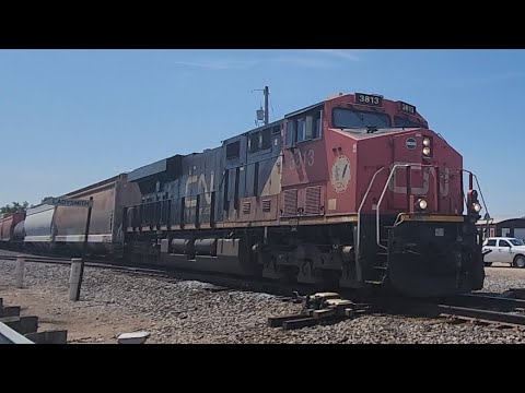 CN 3813 manifest train in Ladysmith wi 6/8/23 - YouTube