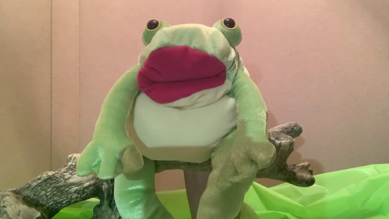Freddy Frog Sings a Special Song - YouTube