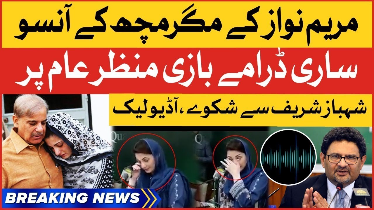 Miftah Ismail Exposed | Maryam Nawaz & PM Shahbaz Sharif Shocking Audio ...