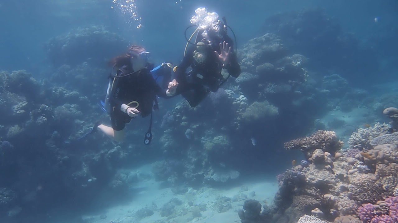 Scuba diving Red Sea - YouTube