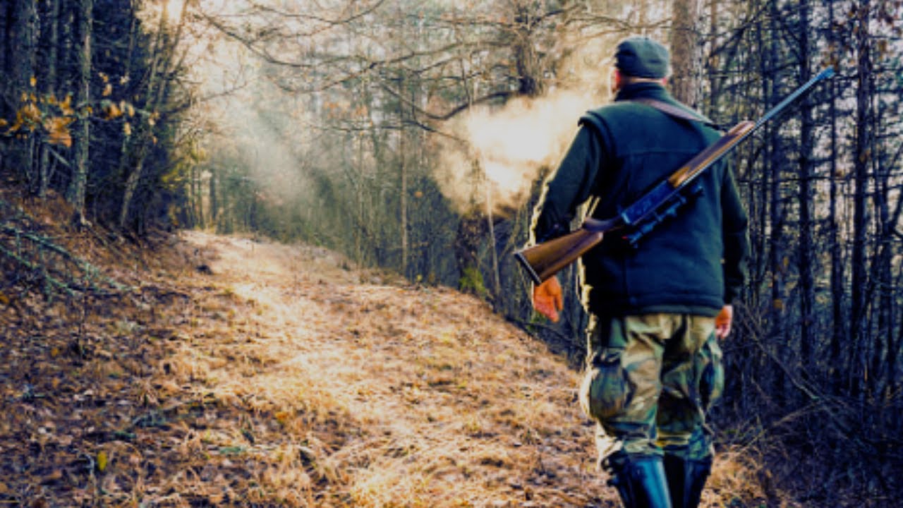 3 Terrifying Creepy Hunting in Woods Horror Stories - YouTube