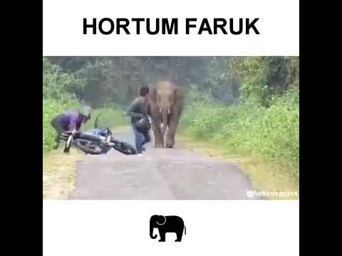 Furkan Emirce Dublajları/HORTUM FARUK