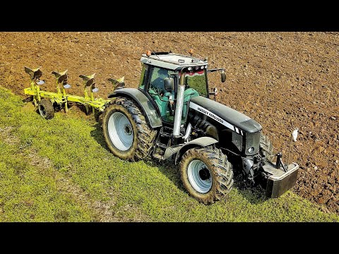 MASSEY FERGUSON 6490 Black + Quadrivomero Piccioni | Plowing-Aratura 2021