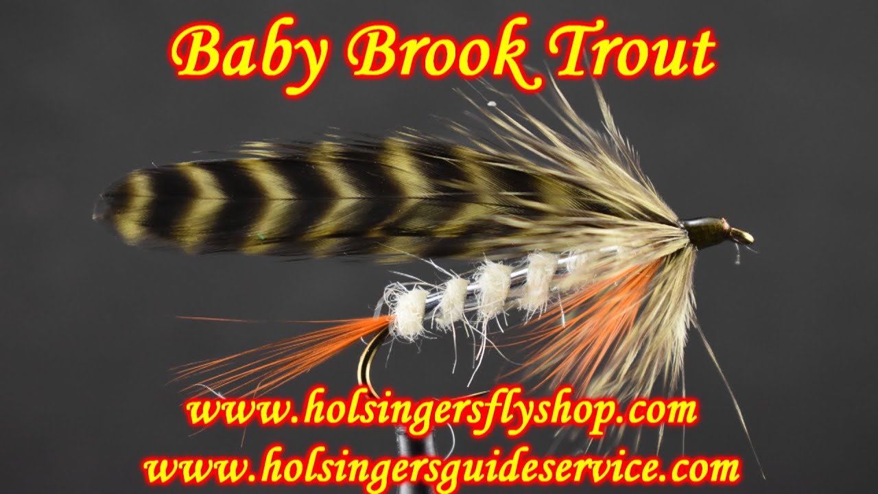 Baby Brook Trout, Holsinger's Fly Shop - YouTube