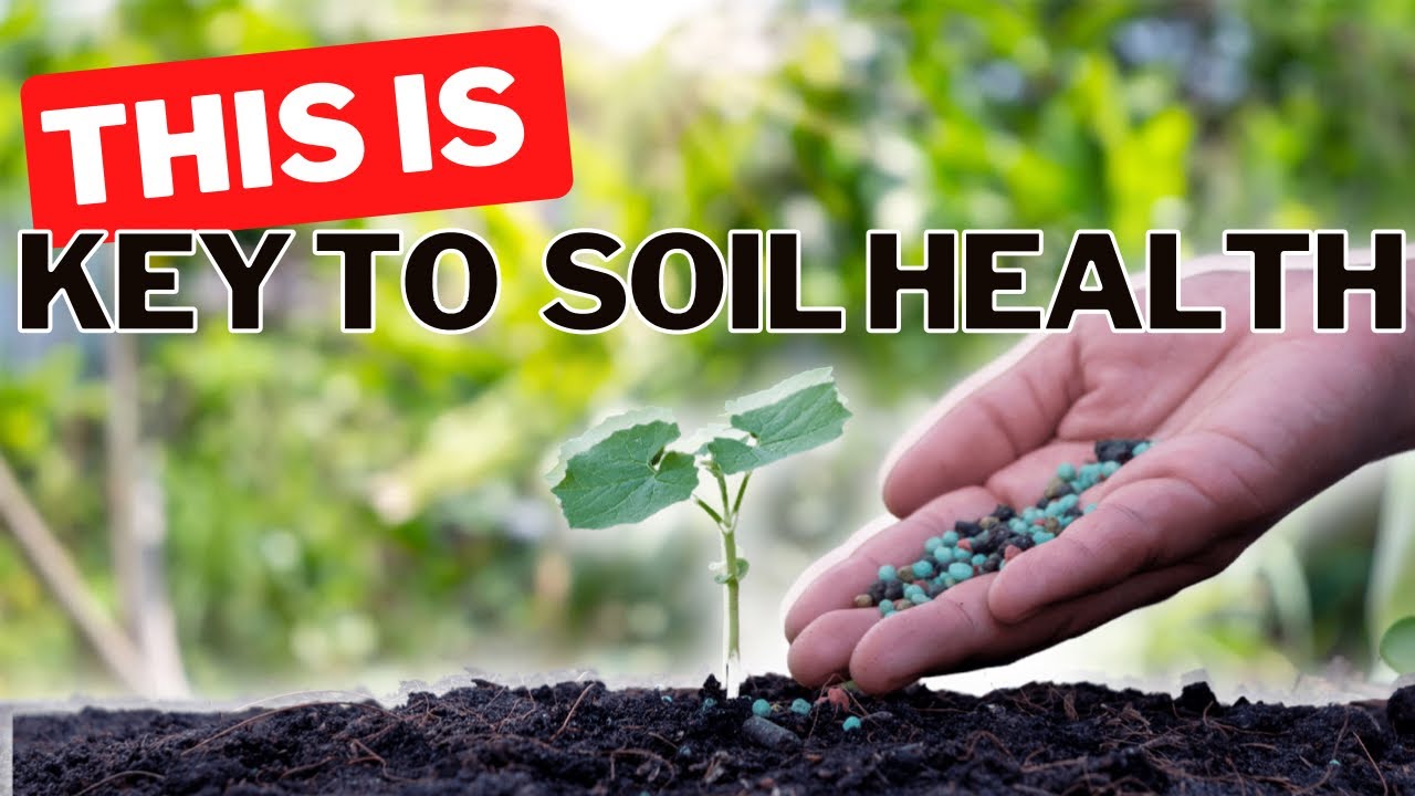 Should You Apply Fertilizer To The Garden In Fall? Why Only Certain ...