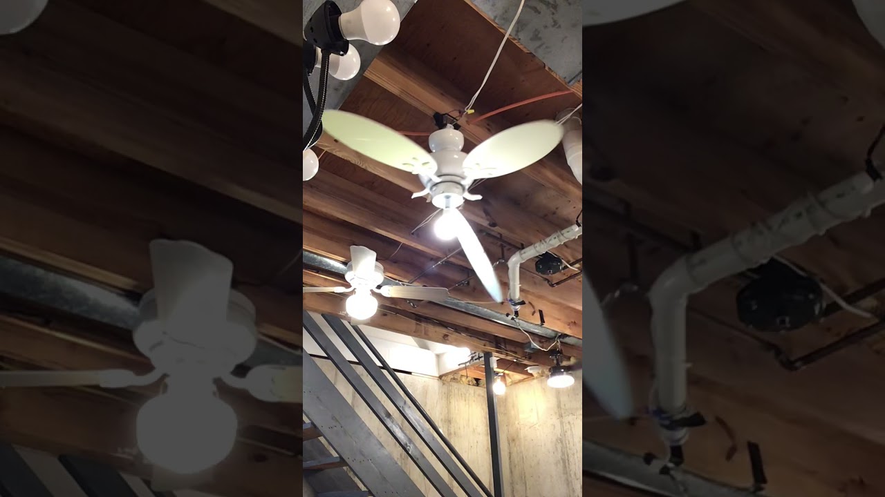 Smashing a ceiling fan pt 2 - YouTube