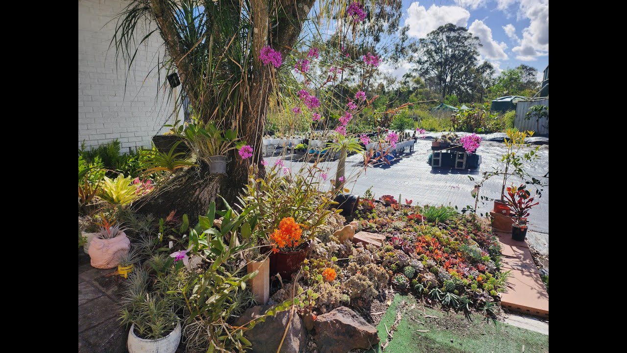 #7 Full House: Home and Garden | Planted more veggies and fruit trees ...