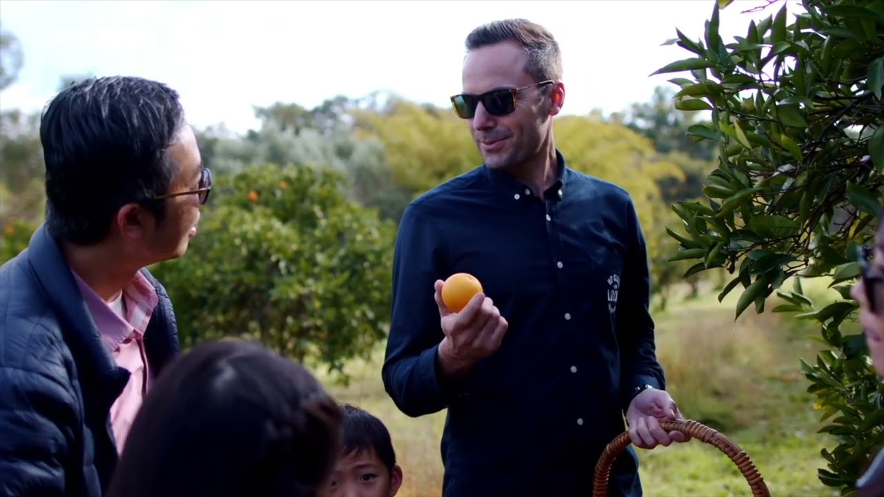 Perth Hills Orchard and Fruit Picking Tours with Up Close & Local Tours ...