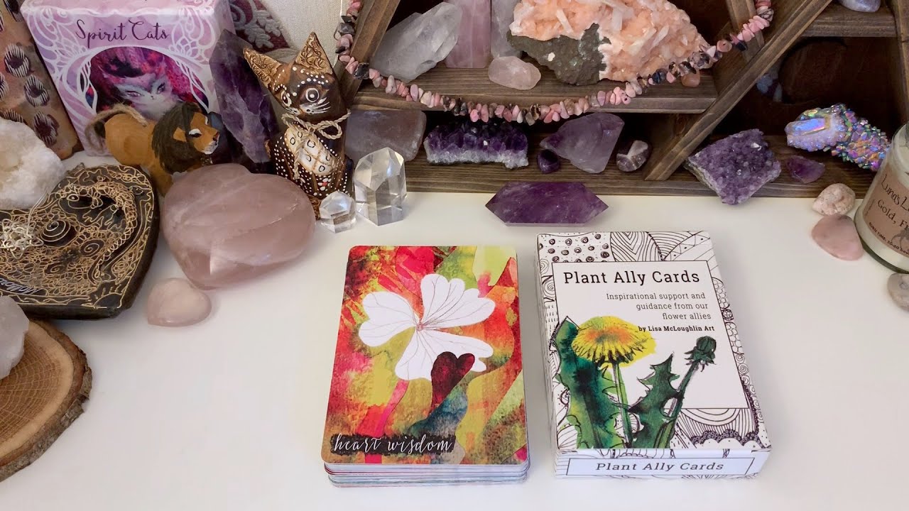Plant Ally Cards // Walkthrough & Review - YouTube