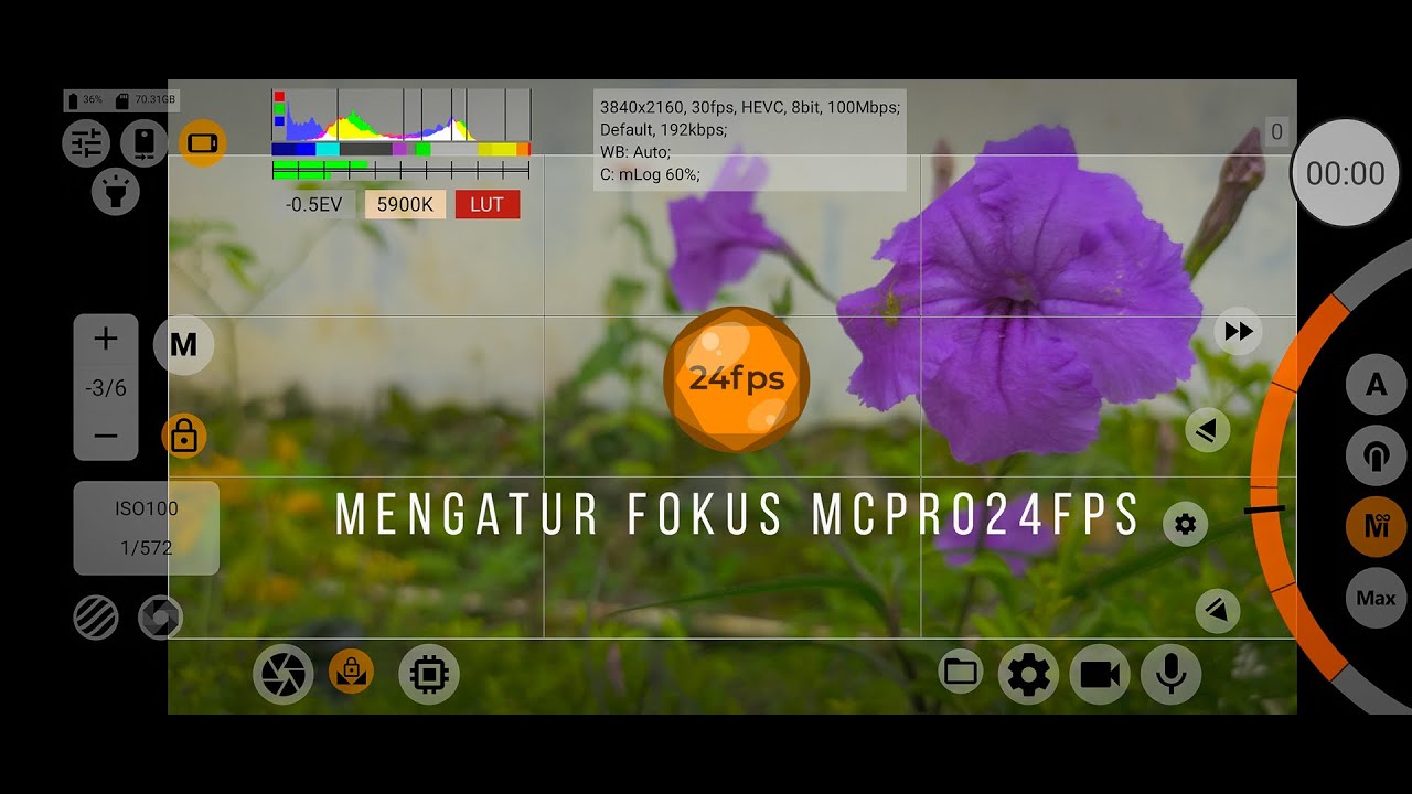 Cara Mengatur dan Menggunakan Fitur Fokus Aplikasi Mcpro24fps - YouTube