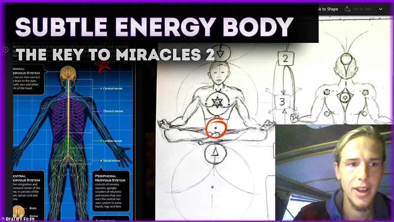 THE SUBTLE BODY & MAGNETISM - VITAL Knowledge of Energy Activation ...