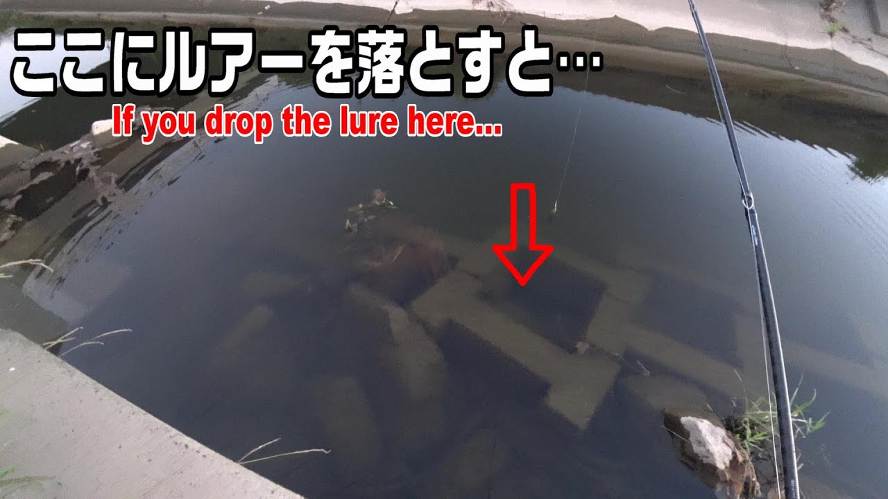 この穴にルアーを落とすと…If you drop a lure into this hole... - YouTube