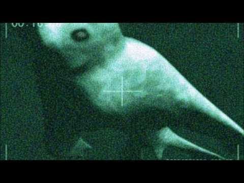 Giant Underwater Humanoids - YouTube